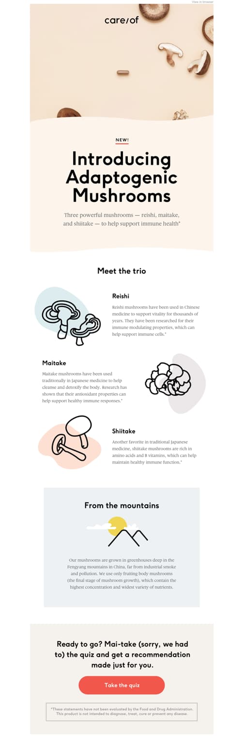 30+ Best Email Marketing Campaign Examples & Why They Work