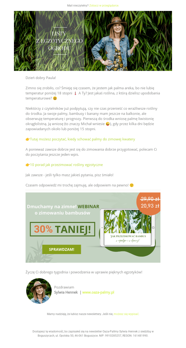 Co to jest newsletter i jak tworzyć skuteczne wiadomości?