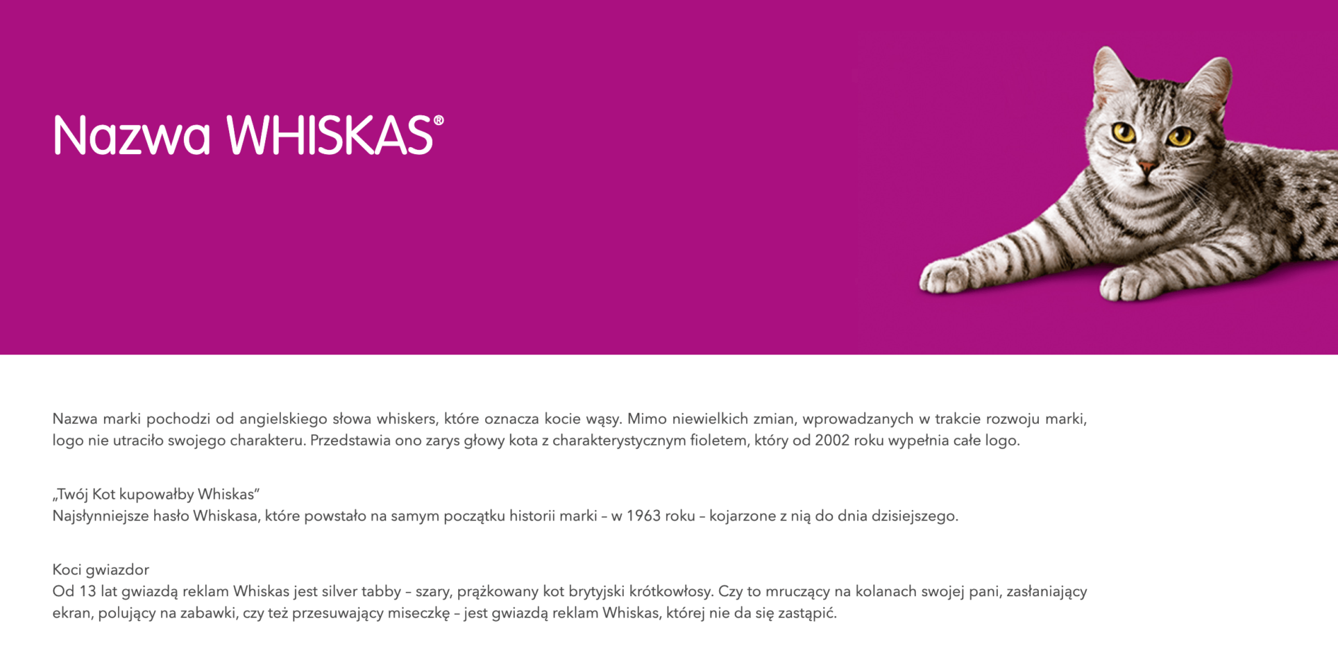 Jak stworzyć idealne hasło reklamowe? | Blog GetResponse