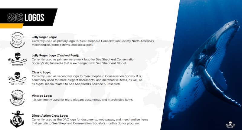 Visual Identity – What is it and why is it important?