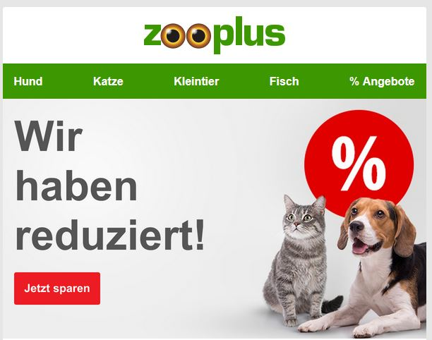 Newsletter Inspo: 8 wirklich gute Newsletter Beispiele