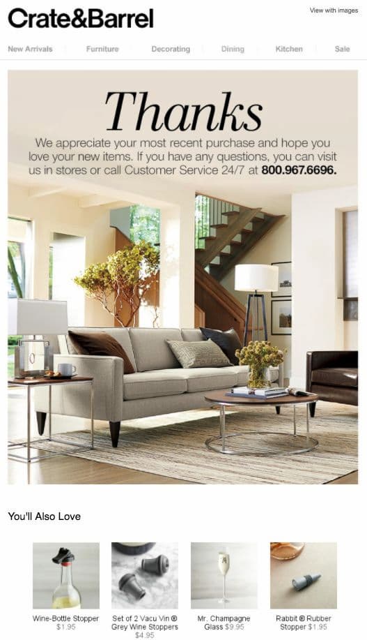 11 Appreciative Thank You For Your Purchase Emails (+Templates)