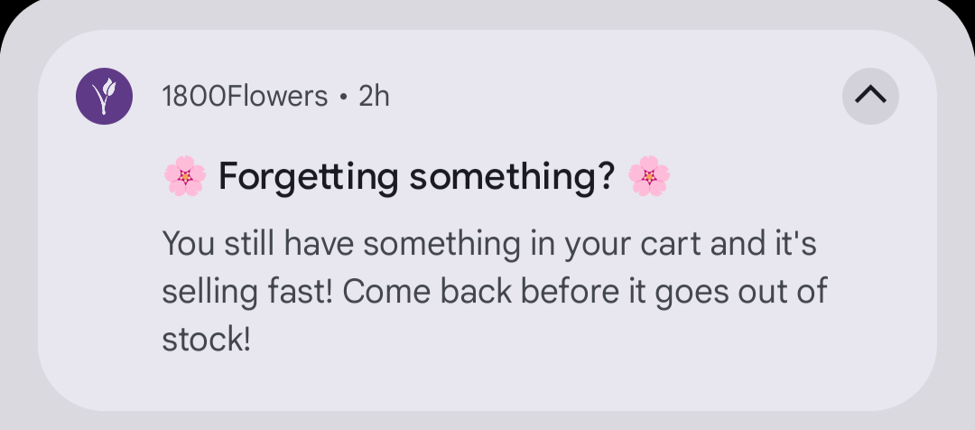 Your Ultimate Guide to Mobile Push Notifications in 2025